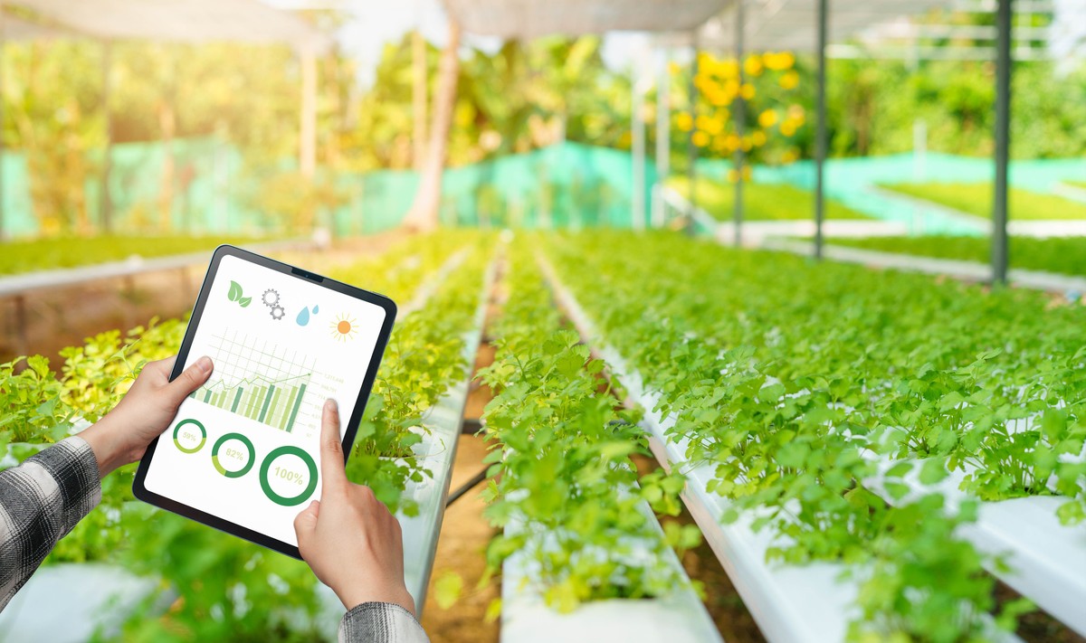 Agribusiness Leaders COFCO in Greater London Markets